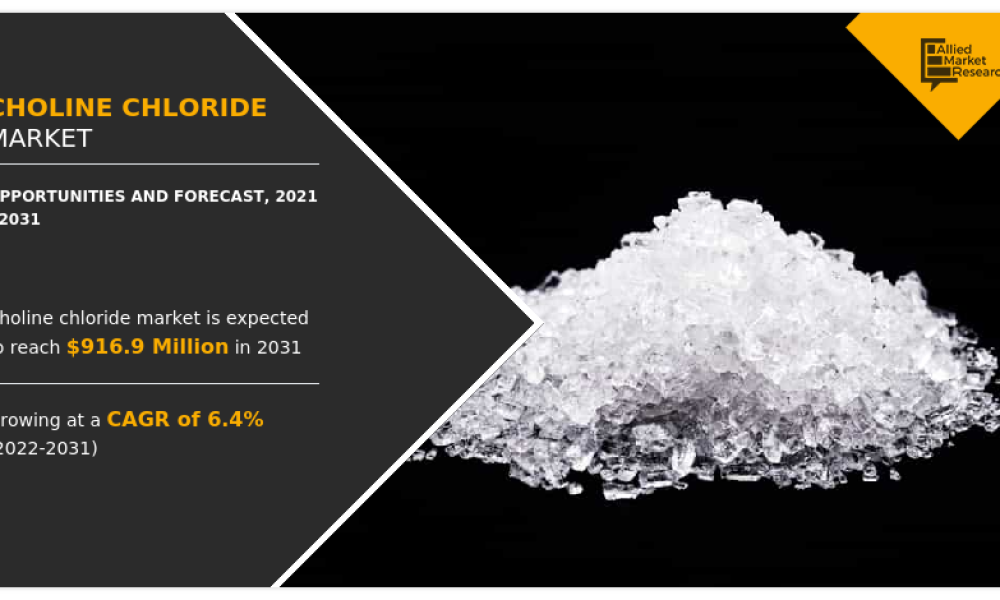 [CAGR of 6.4%] Choline Chloride Market Booming Worldwide Opportunity ...