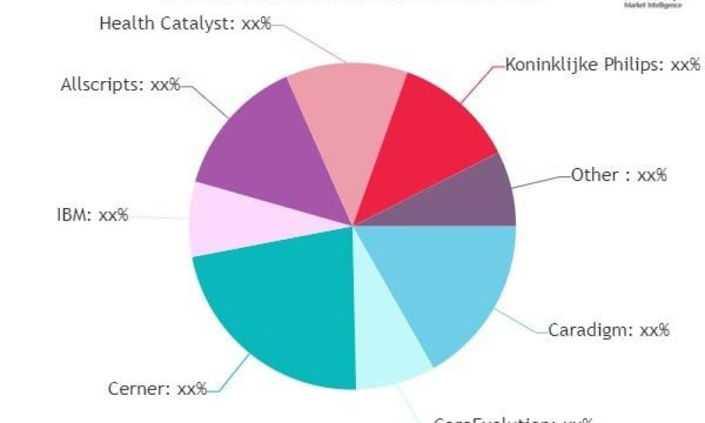 Clinical Data Analytics Market Dazzling Worldwide | Major Giants ...
