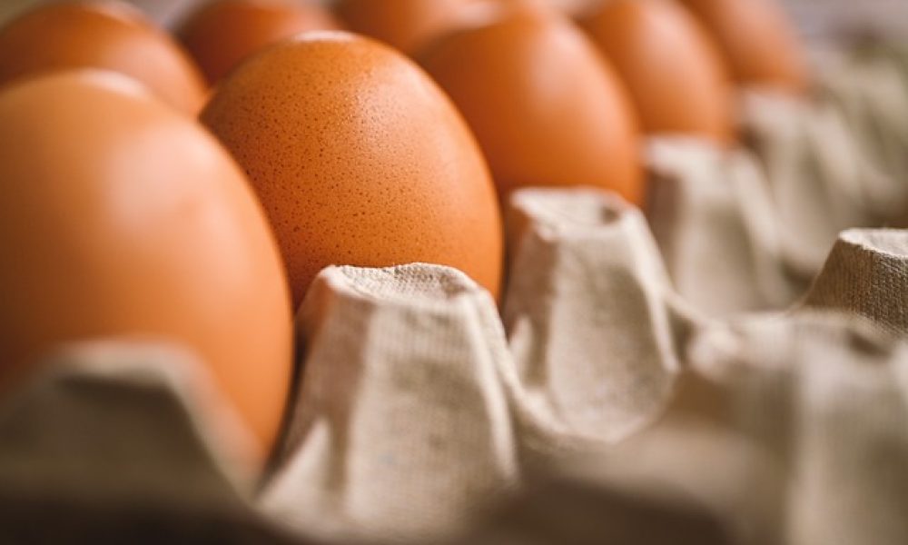 Commercial Eggs Market Growth Potential is Booming Now: Michael Foods ...