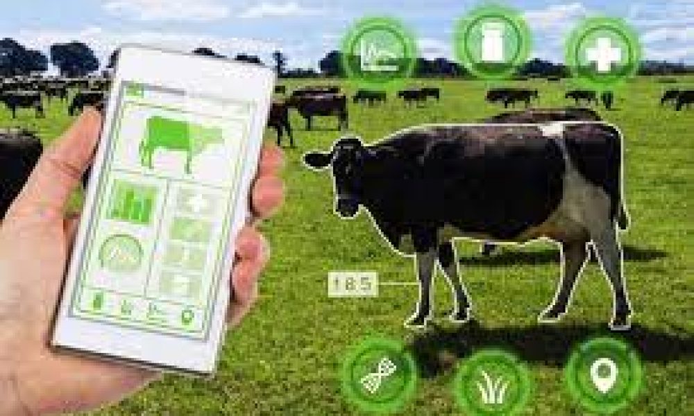 Connected Cow and Farm Market is in Huge Demand | Microsoft, Fujitsu ...