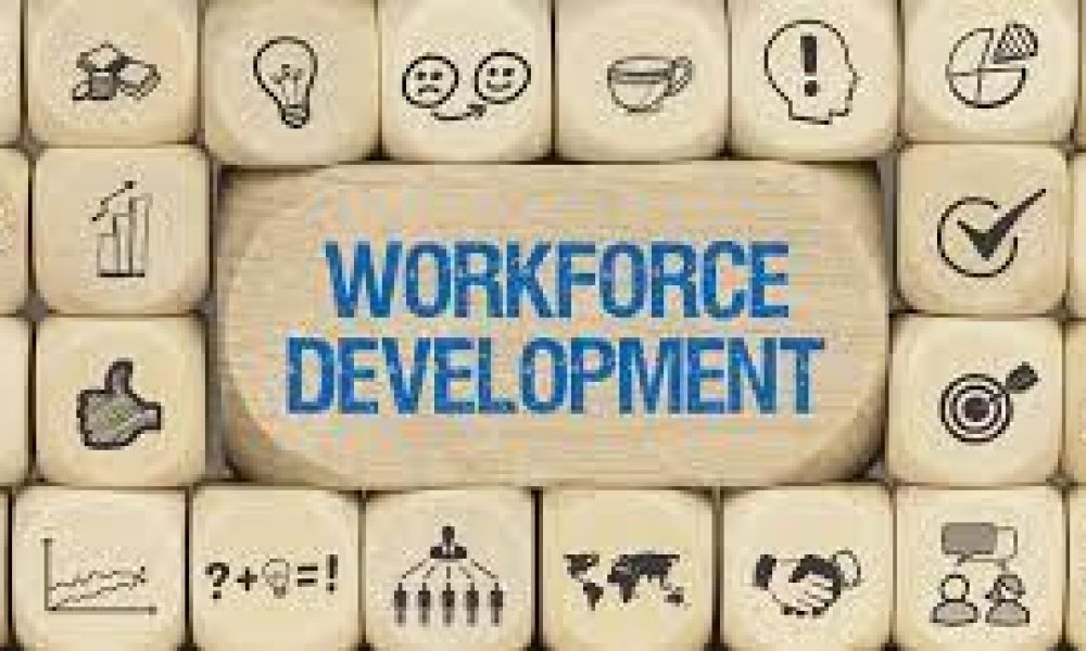 Corporate Workforce Development Training Market Is Booming So Rapidly ...