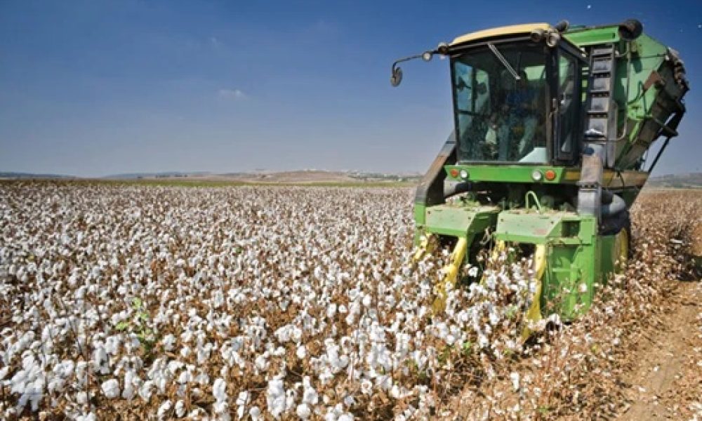 Cotton Harvesting Machine Market set for explosive growth: CNH ...