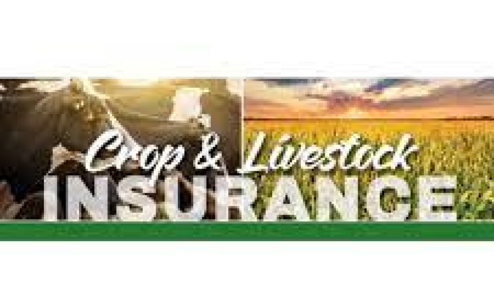 Crop and Livestock Insurance Market Next Big Thing | Major Giants ...