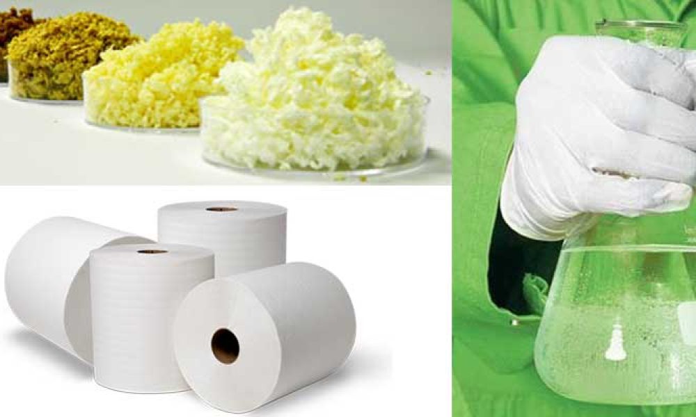 Enzyme for Pulp and Paper Market Set for More Growth: DuPont, BASF SE ...