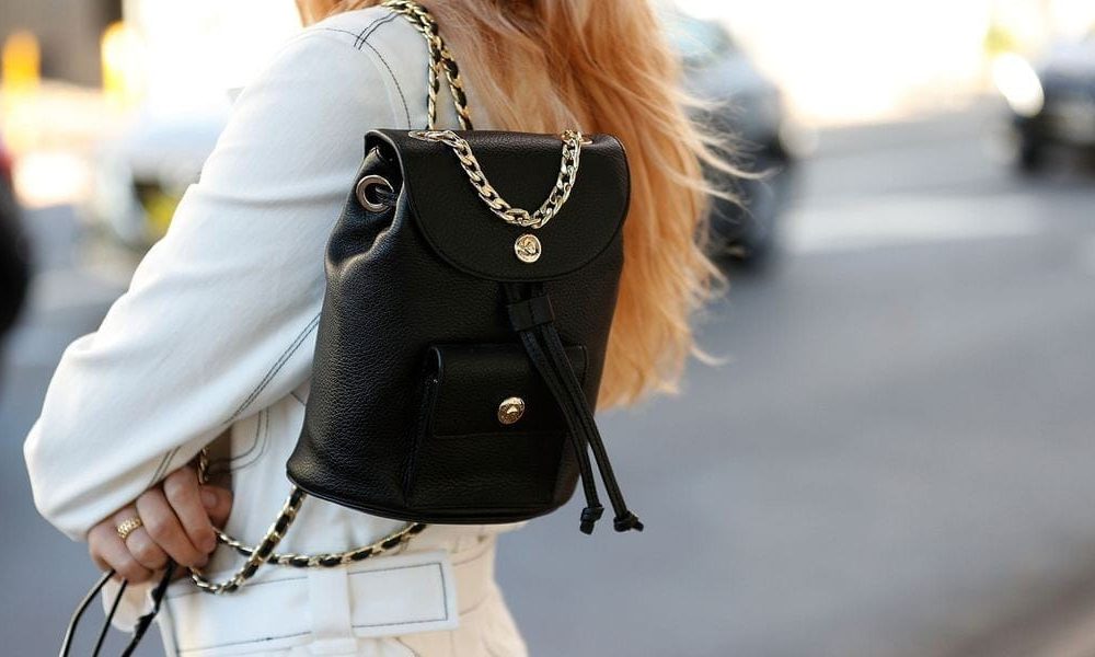 Fashion Backpack Market Review: All Eyes on 2024 Outlook: Prada, Louis ...