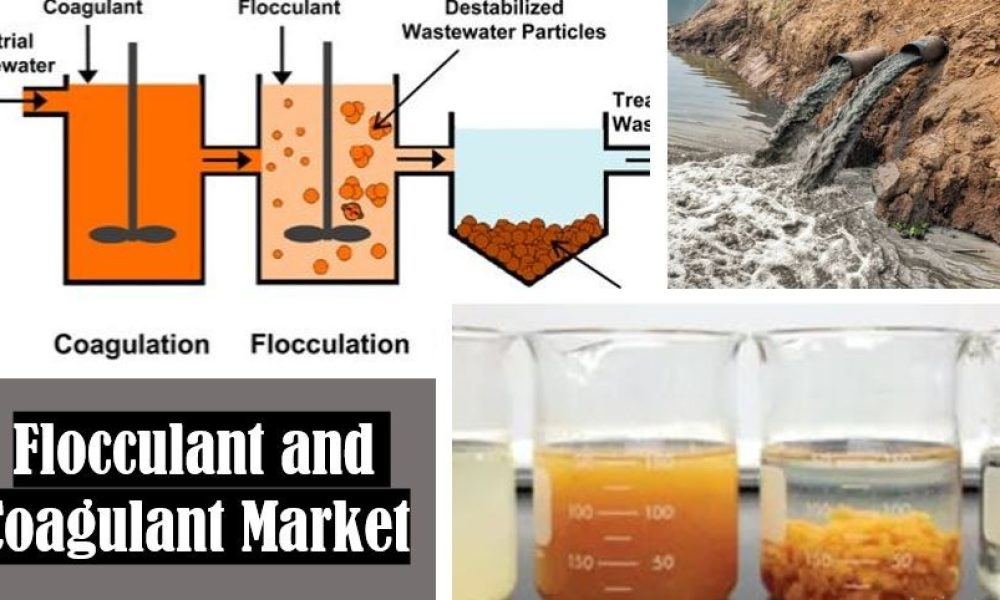 Flocculant & Coagulant Market to See Huge Growth: BASF SE, Ecolab, SNF ...