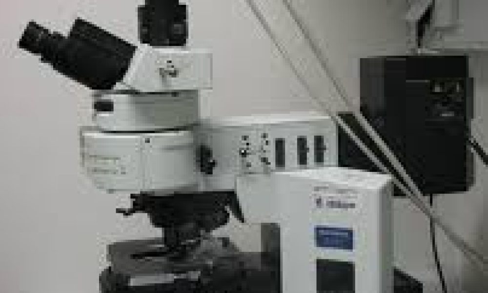 Fluorescence Microscopy Market Comprehensive Study Explores Huge Growth ...