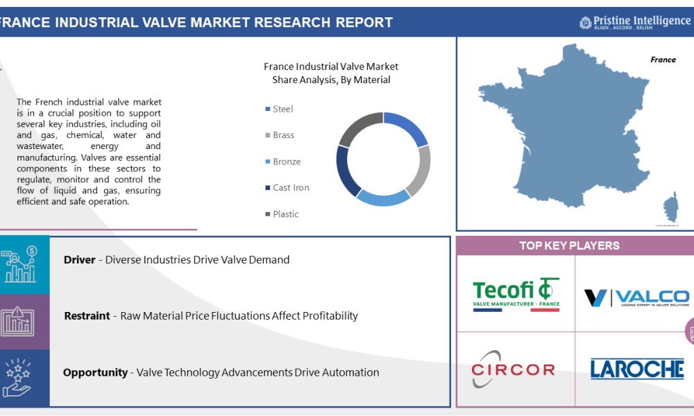 France Industrial Valve Market Outlook for Forecast Period (2023 to ...