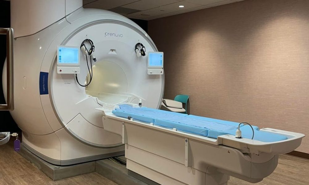 Full Body Scanner Market Set for Explosive Growth | Smiths, Mistral ...