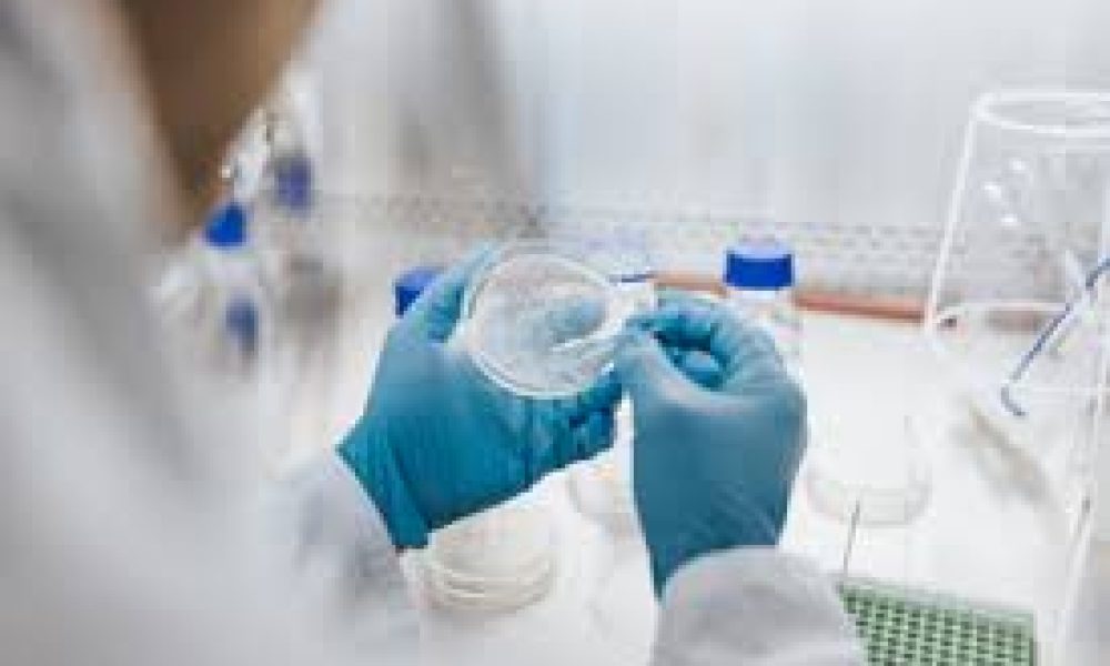 Global GMP Grade Plasmid DNA Market will Experience Phenomenal Growth ...