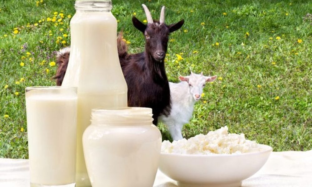 Goat Milk Products Market is Booming Worldwide | Redwood Hill Farm ...