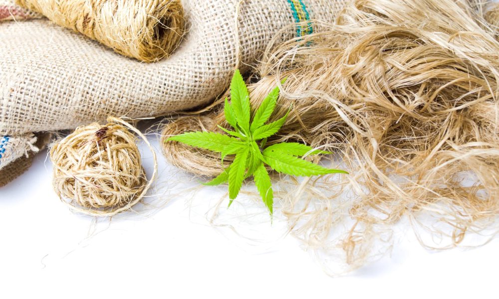 Hemp Fiber Market Is Booming So Rapidly | HempCo, HempFlax, Ecofibre ...