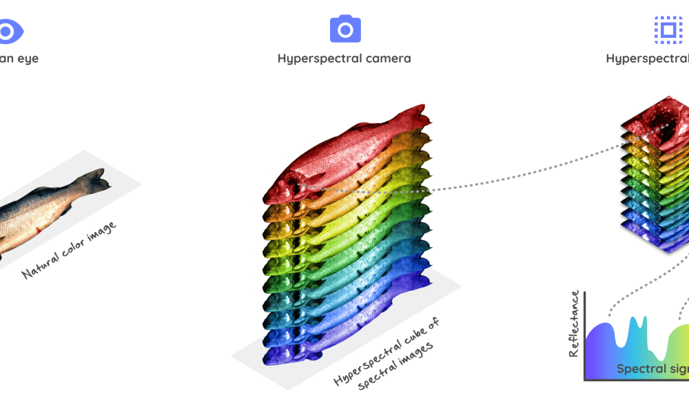 Hyperspectral Imaging Market to See Revolutionary Growth - Newstrail