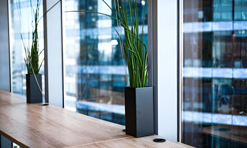 Indoor Plant Integration Market Hits New High | Major Giants IKEA ...