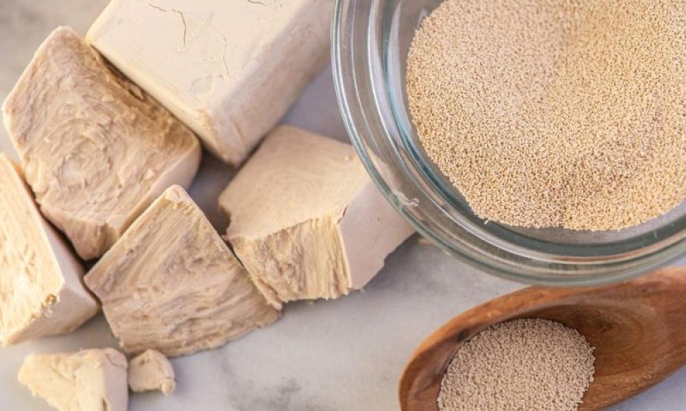 Industrial Yeast Market to See Drastic Growth – Post 2025 | Angel Yeast ...