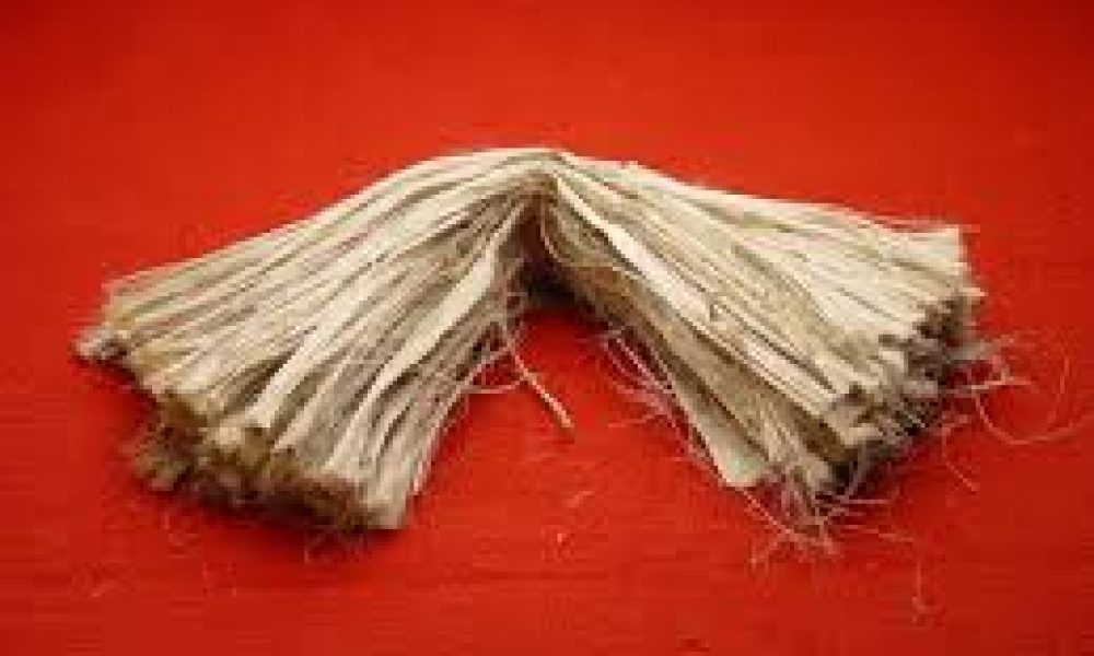 Jute And Kenaf Market Is Dazzling Worldwide| Gloster, Aarbur, Ganges ...