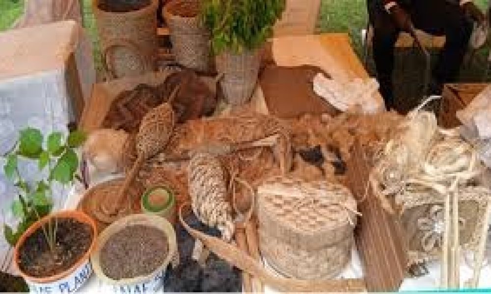 Jute And Kenaf Market Is Booming So Rapidly | Bangladesh Jute Mills ...