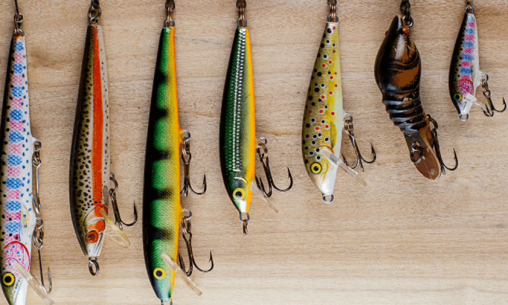 LeeAdventureStore.com Unveils New Outdoor Sporting Goods Collection to ...