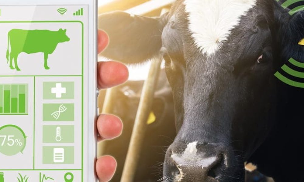 Livestock Management Software Market to See Stunning Growth | FarmLogs ...