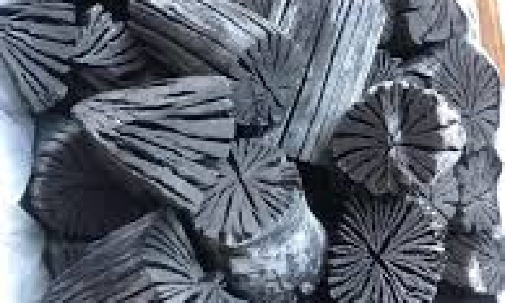 Mangrove Charcoal Market Hits New High | Major Giants Biscaas , Green ...