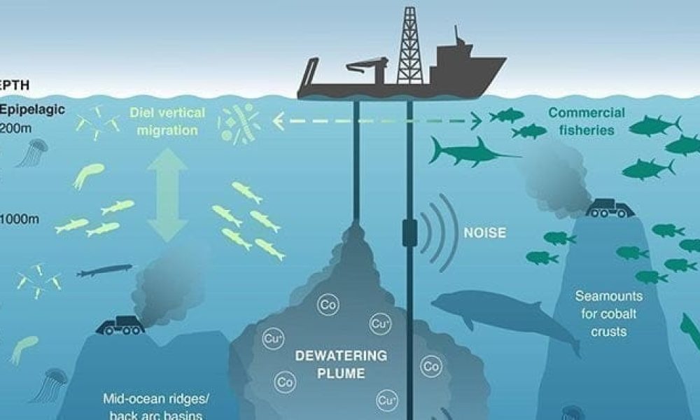Marine Mining Market May Set an Epic Growth Story |Neptune Minerals ...