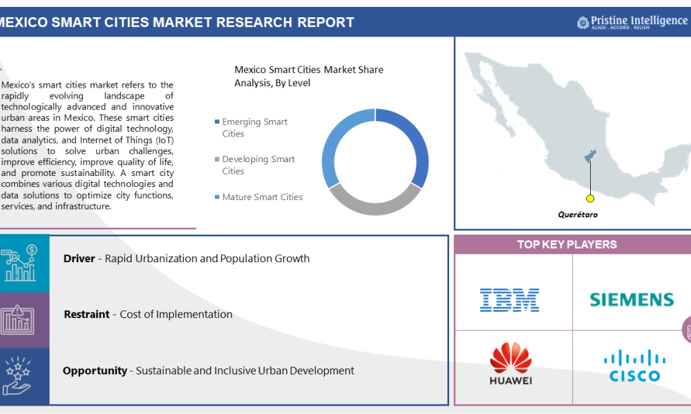 Connectivity and Innovation: A Comprehensive Overview of the Mexico ...