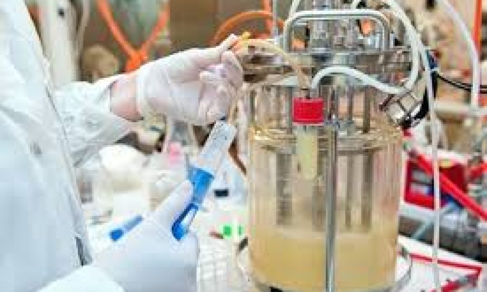 Microbial Fermentation Technology Market Likely to Enjoy Massive Growth ...
