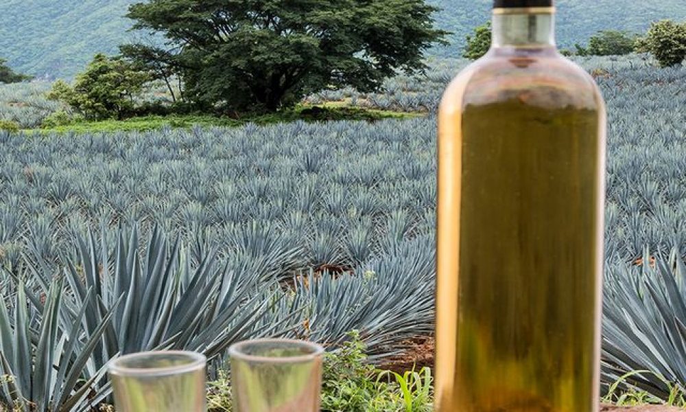 Mixto Tequila Market Projected to Show Strong Growth - Newstrail