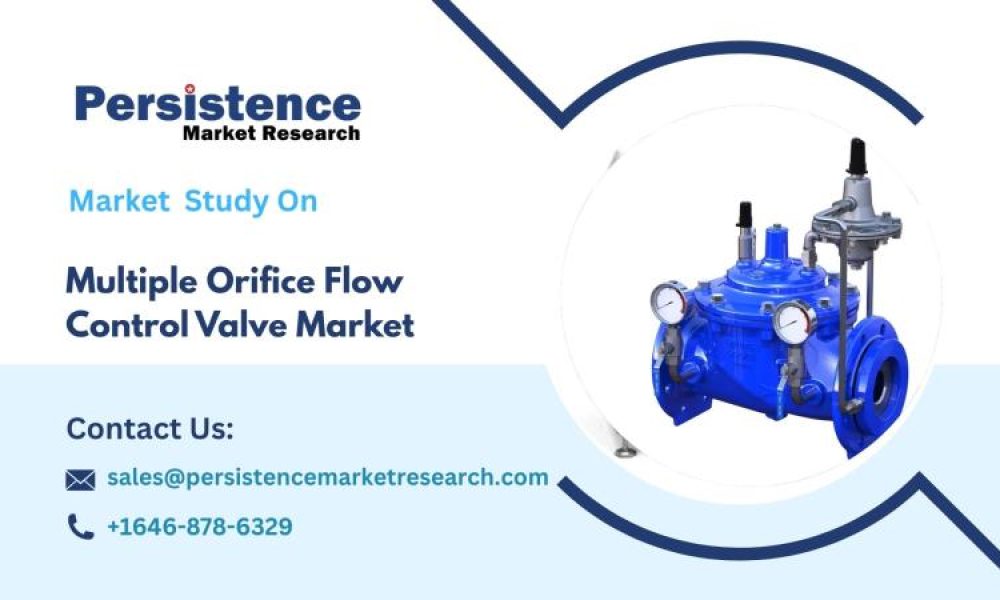 Multiple Orifice Flow Control Valve Market Innovations and Strategic ...