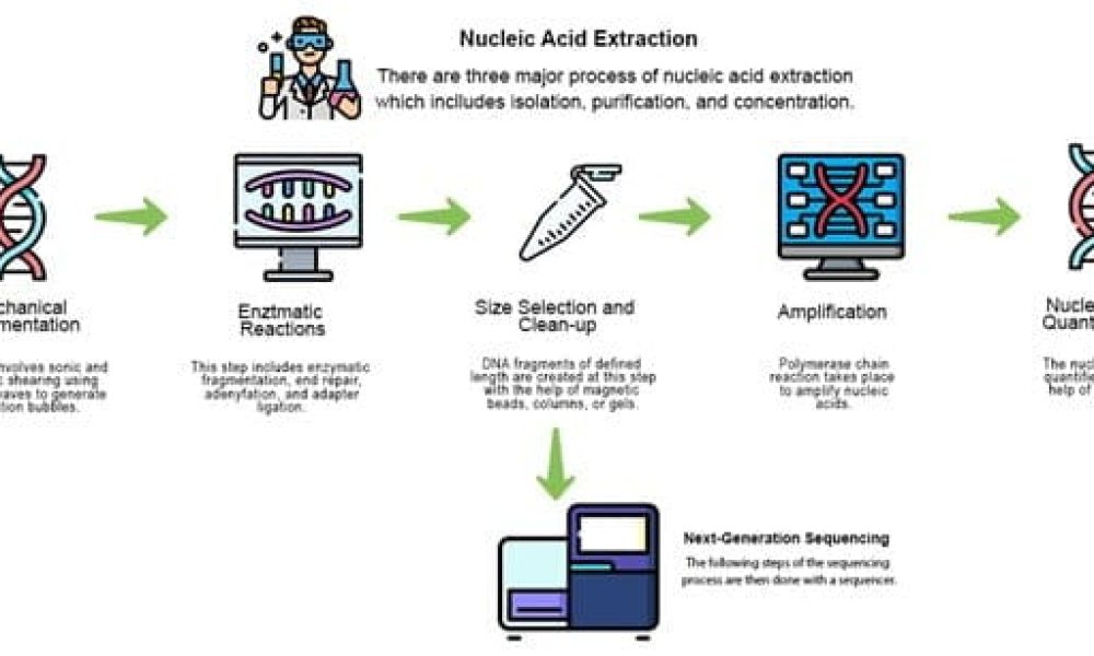 NGS Sample Preparation Market: Is The Potential Turnaround of the ...