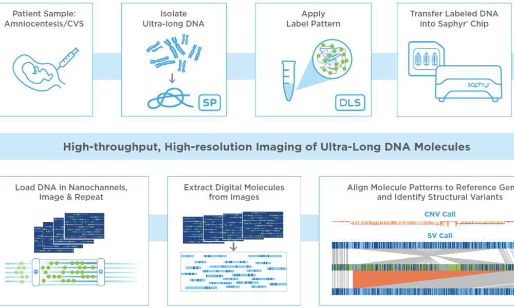 Optical Genome Mapping Market Set to Expand at 21.20% CAGR, Hitting USD ...