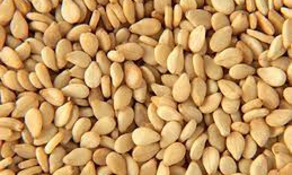 Organic Sesame Seed Market Getting Back To Stellar Growth Ahead - Newstrail