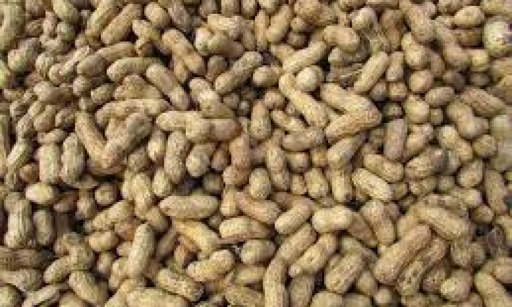 Peanuts Market Stunning Value Ahead: Olam International, Hampton Farms ...