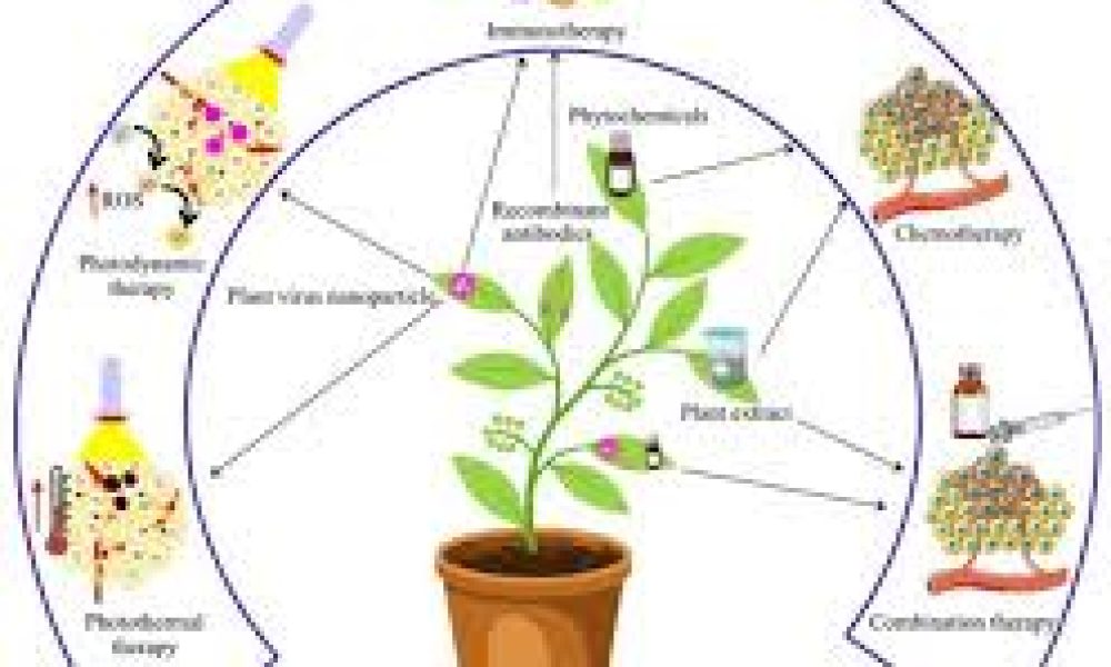 Plant-Based Anti-Cancer Agents Market May See a Big Move | Major Giants ...