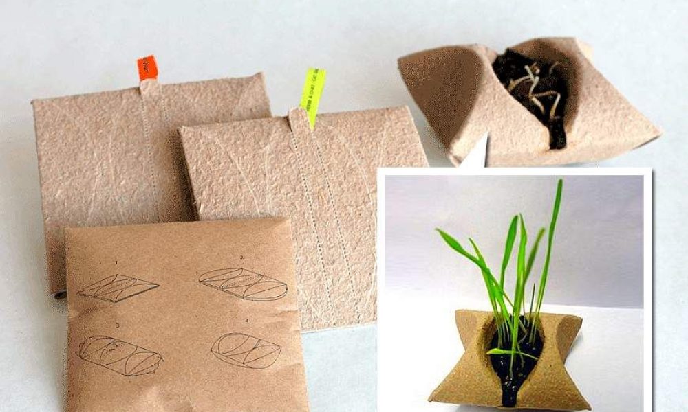 Plantable Packaging Market Is Booming So Rapidly | Loliware, Bloomin, Papelyco - Newstrail