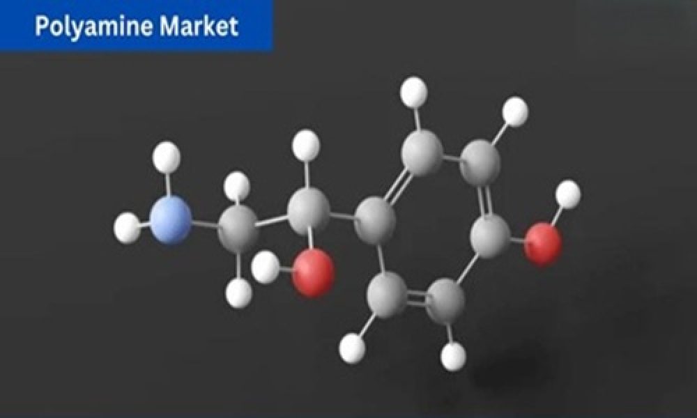 Polyamine (PA) Market to Accelerate Growth with Clariant, Solvay ...