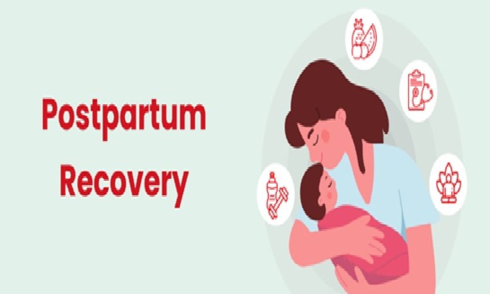 Postpartum Recovery Equipment Market to Accelerate Growth with Boppy ...
