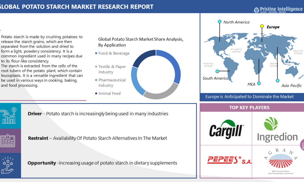 Potato Starch market Report | Global Forecast From 2023 To 2030 With ...