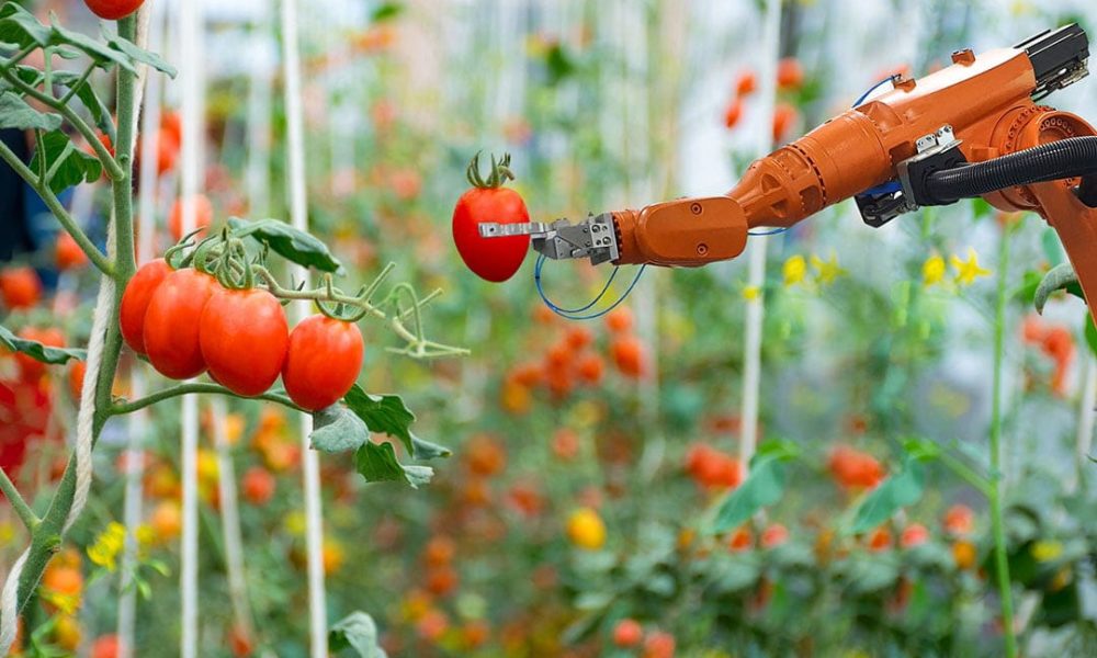 Precision Harvesting Market Worth Observing Growth | Trimble ...