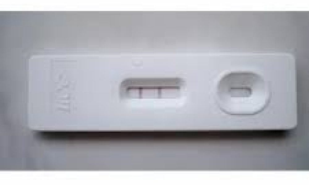Pregnancy Test Meter Market Will Hit Big Revenues In Future |Fact Plus ...