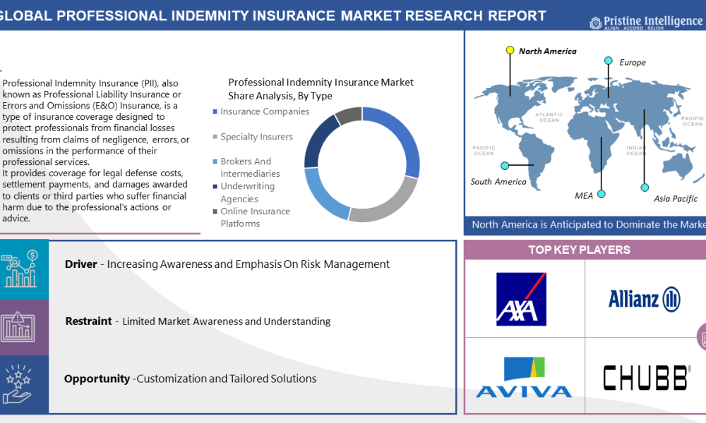 Professional Indemnity Insurance Market 2030 Business Insights with Key ...
