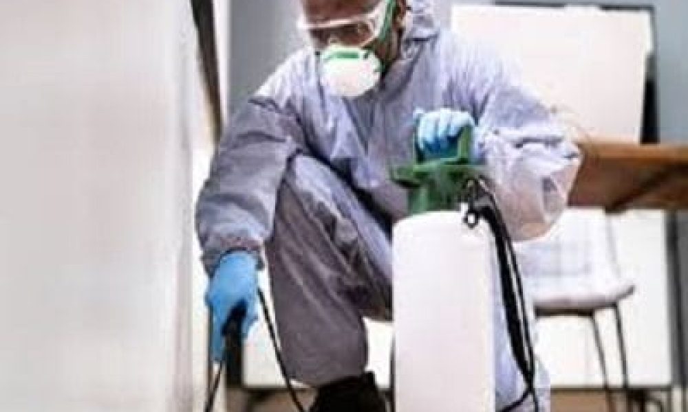 Professional Pest Control Market: Trends, Growth, and Future Outlook ...