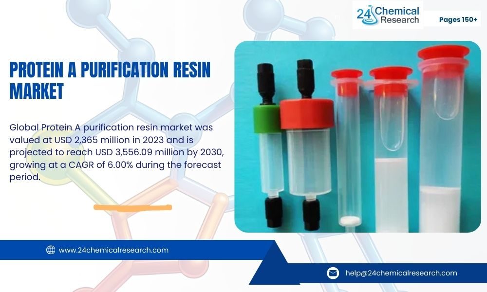 Enhancing Bioprocessing Efficiency: Insights into the Protein A ...
