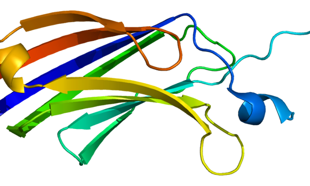 Protein Kinase C Epsilon Type Market Review: All Eyes on 2024 Outlook ...