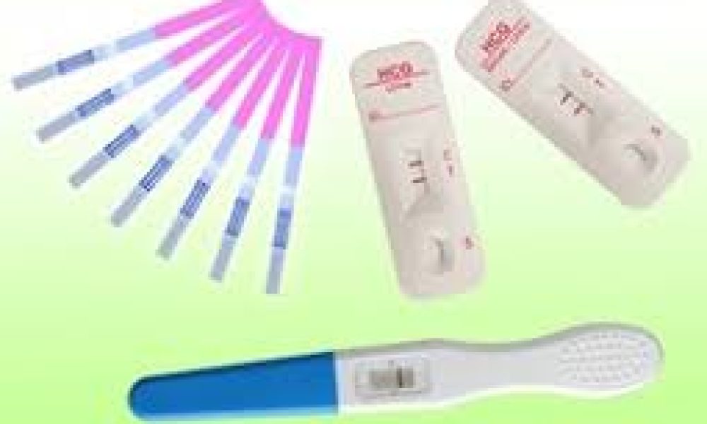 Rapid Test Market Current Scenario and Future Prospects - Newstrail