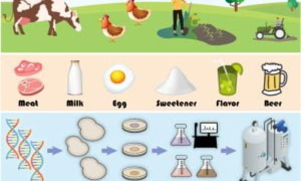 Synthetic Biology in Agriculture and Food Market May Set a New Epic ...