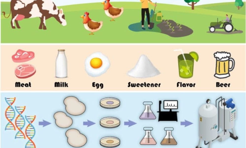 Synthetic Biology in Agriculture and Food Market is in Huge Demand ...