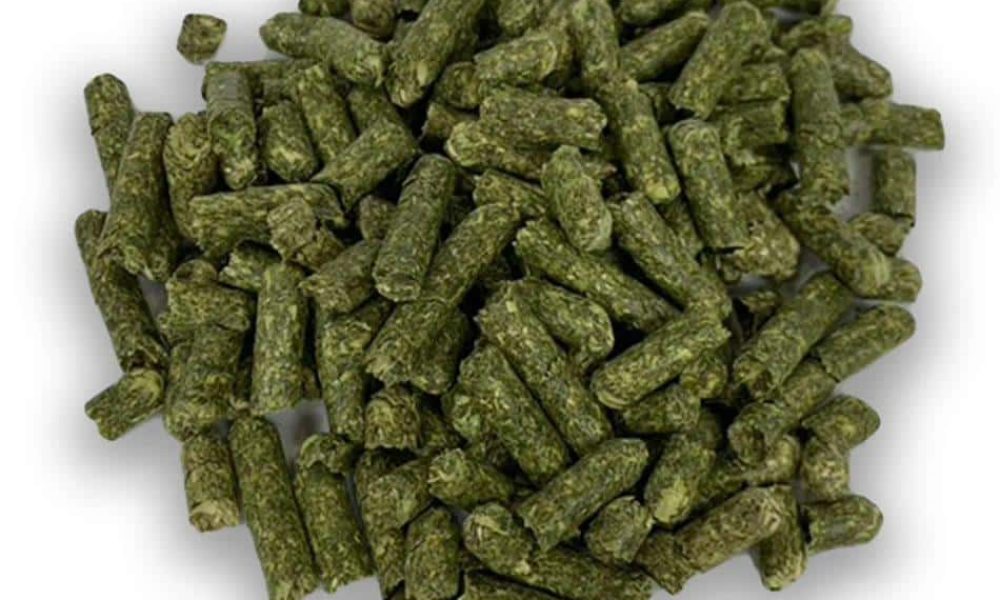 Hay Pellets Market to See Huge Growth by 2030 | Pioneer Feeds, Bailey ...