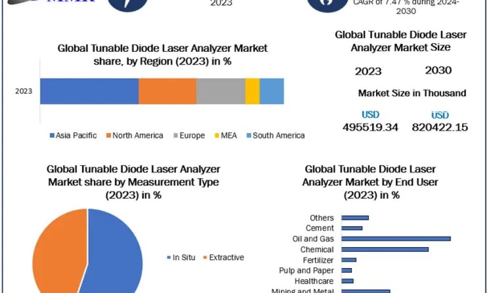 Tunable Diode Laser Analyzer Market Outlook (2024–2030): Growth Trends ...