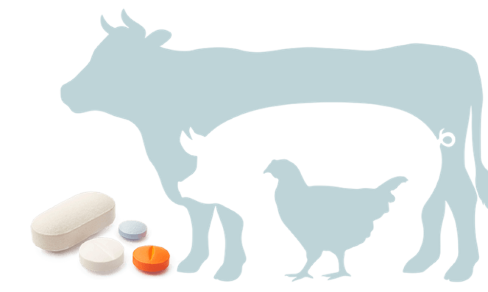 Veterinary Antihistamines Market to Show Strong Growth | Leading ...